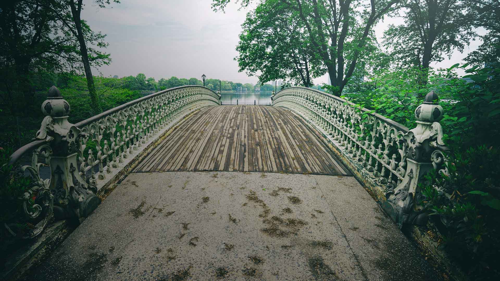 Psychologist | Dr Jeffrey Penner, PhD, San Diego